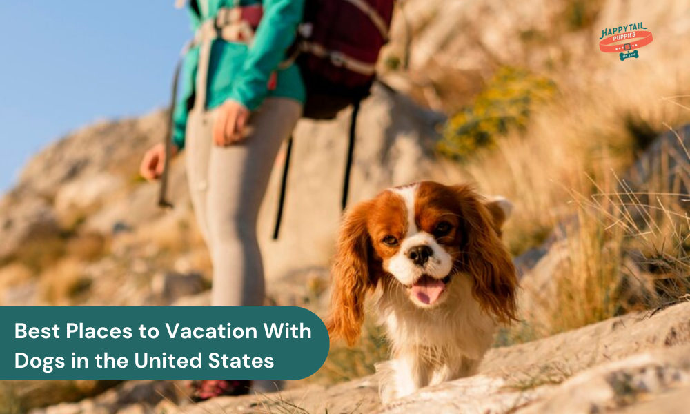 Best Places to Vacation With Dogs in the United States