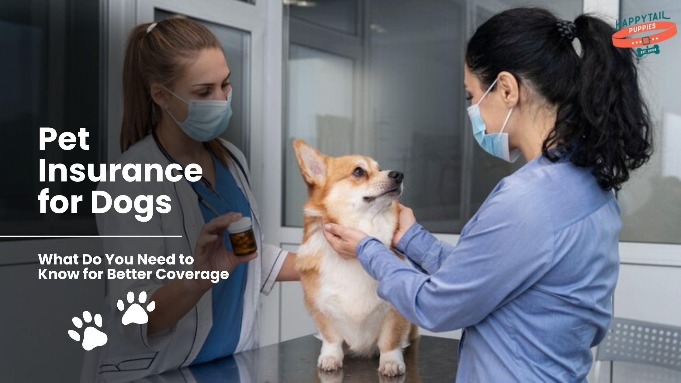 Pet Insurance for Dogs: What You Need to Know for Better Coverage