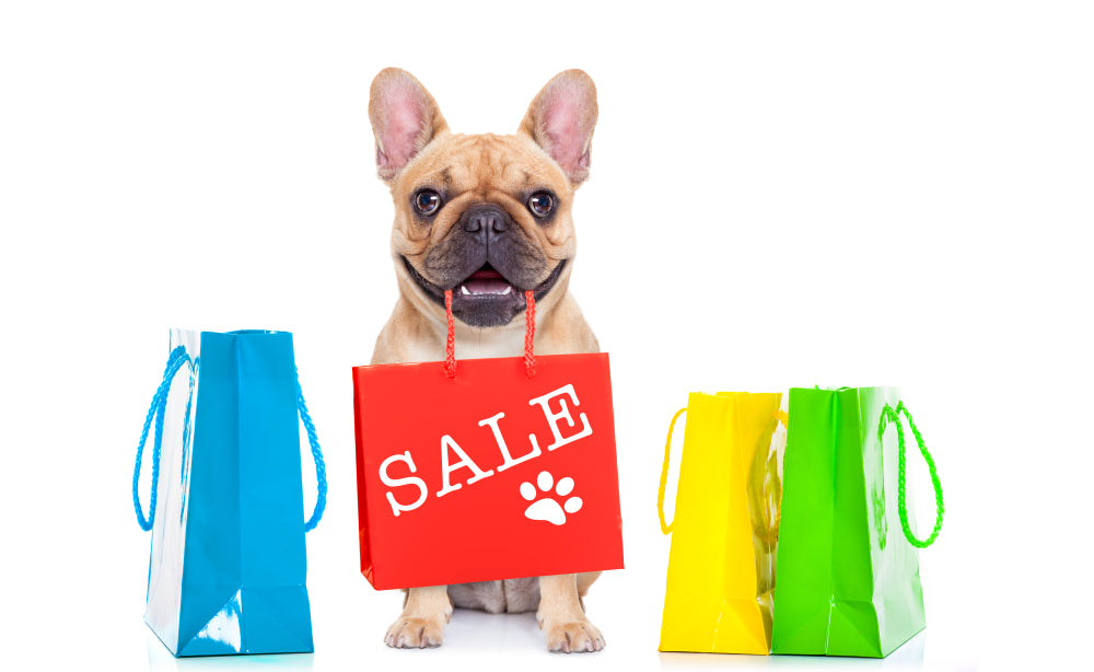 Doggone Deals of The Day | Happytail Puppies Page 2 | Happytail Puppies